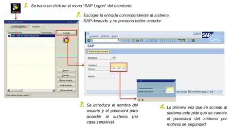 ¿Qué es SAP Logon?
